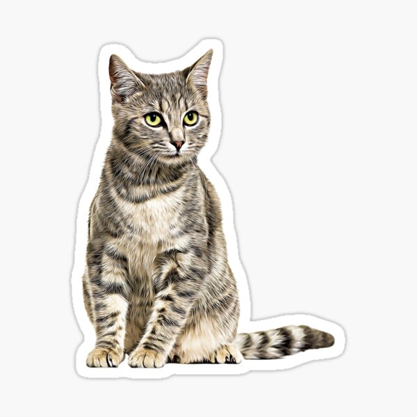 "Tabby Cat " Sticker by hyggenok | Redbubble