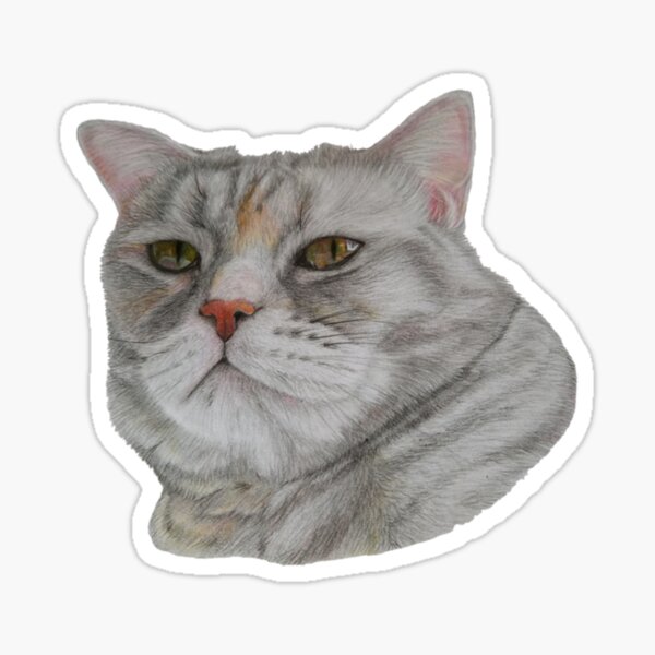 "Drawing of TT from kittisaurus" Sticker by DipakSonarArt | Redbubble