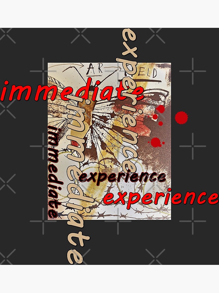 "immediate experience, inscriptions, wise words, great thinkers ...