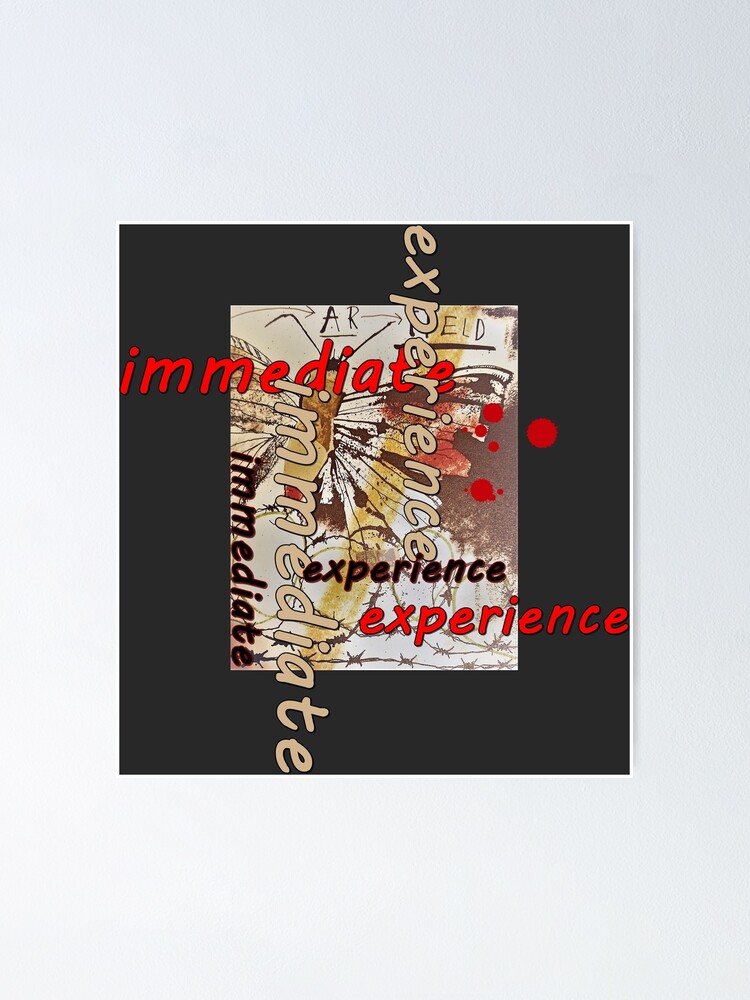 "immediate experience, inscriptions, wise words, great thinkers ...