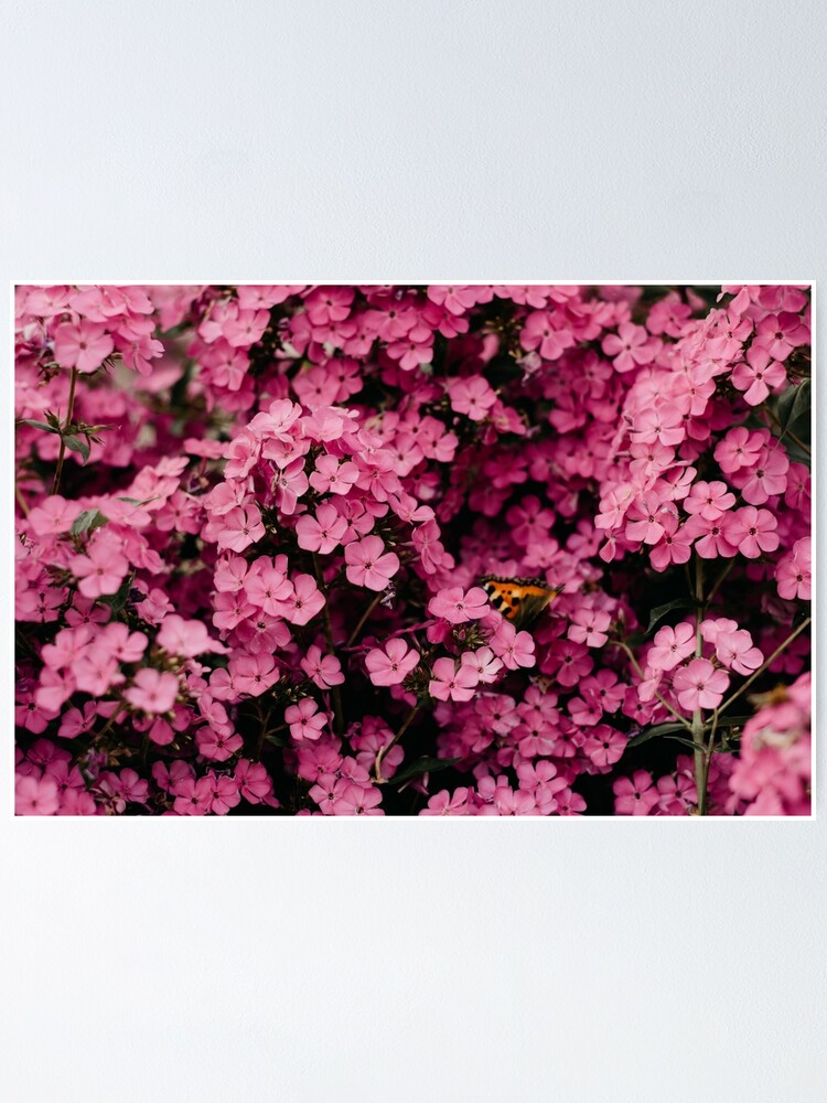 "irina flowers" Poster for Sale by Kamel999 | Redbubble