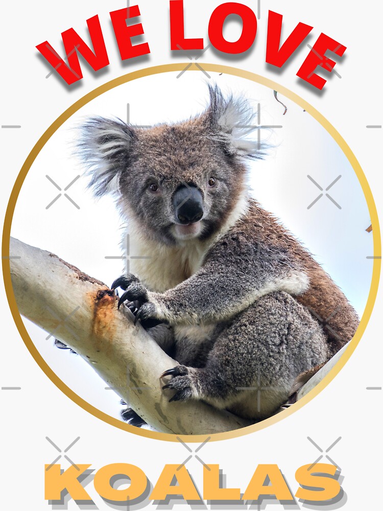 "We love koalas" Sticker by Nelmedia1 | Redbubble