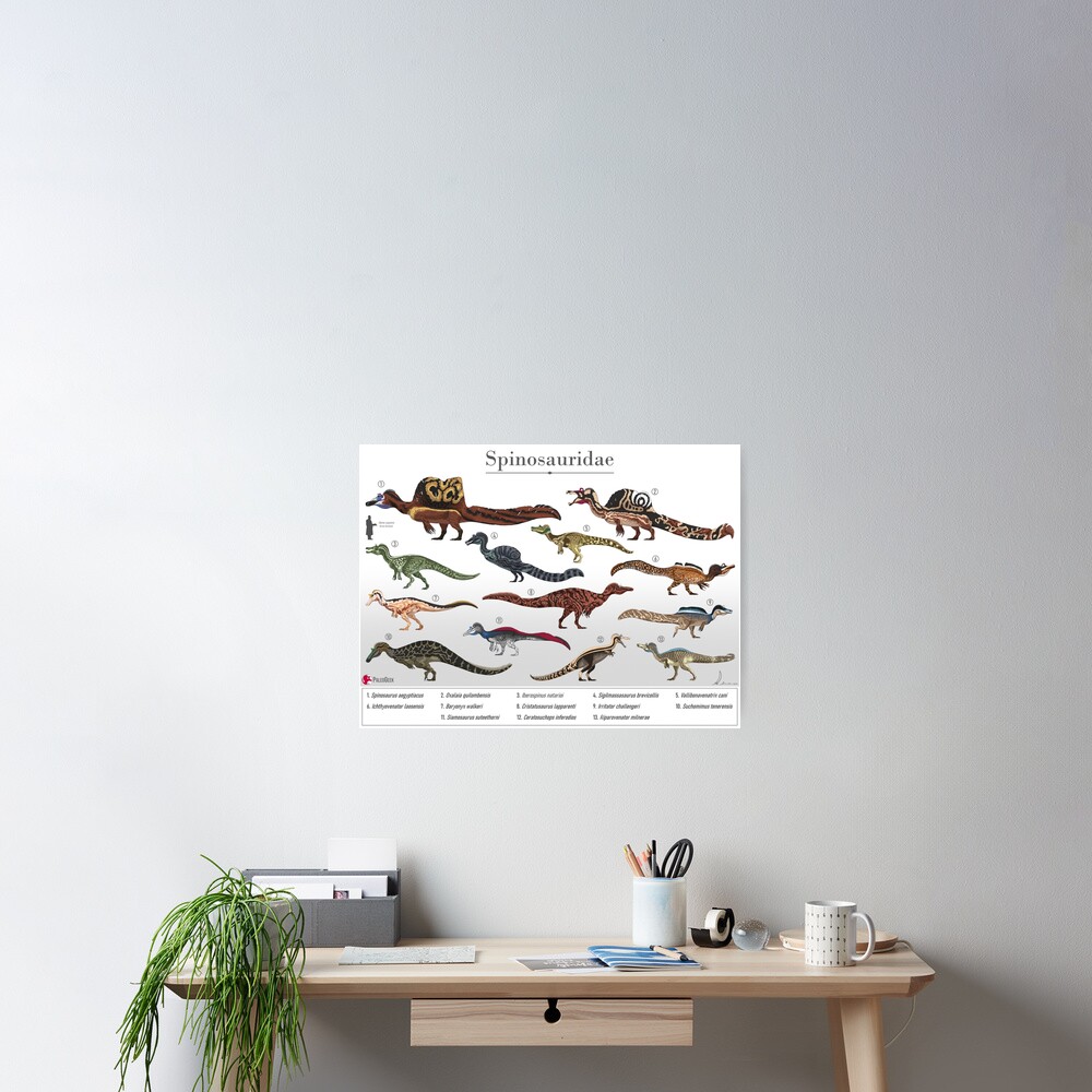"Spinosauridae Family Size Chart" Poster for Sale by PaleoGeek | Redbubble