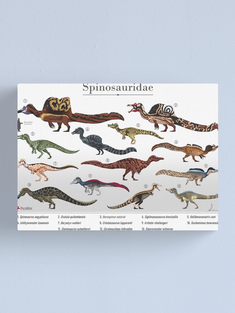 "Spinosauridae Family Size Chart" Canvas Print for Sale by PaleoGeek ...