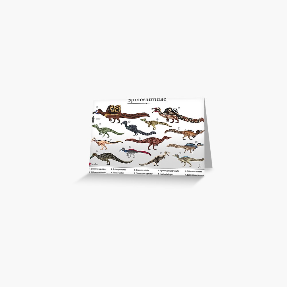 "Spinosauridae Family Size Chart" Canvas Print for Sale by PaleoGeek ...