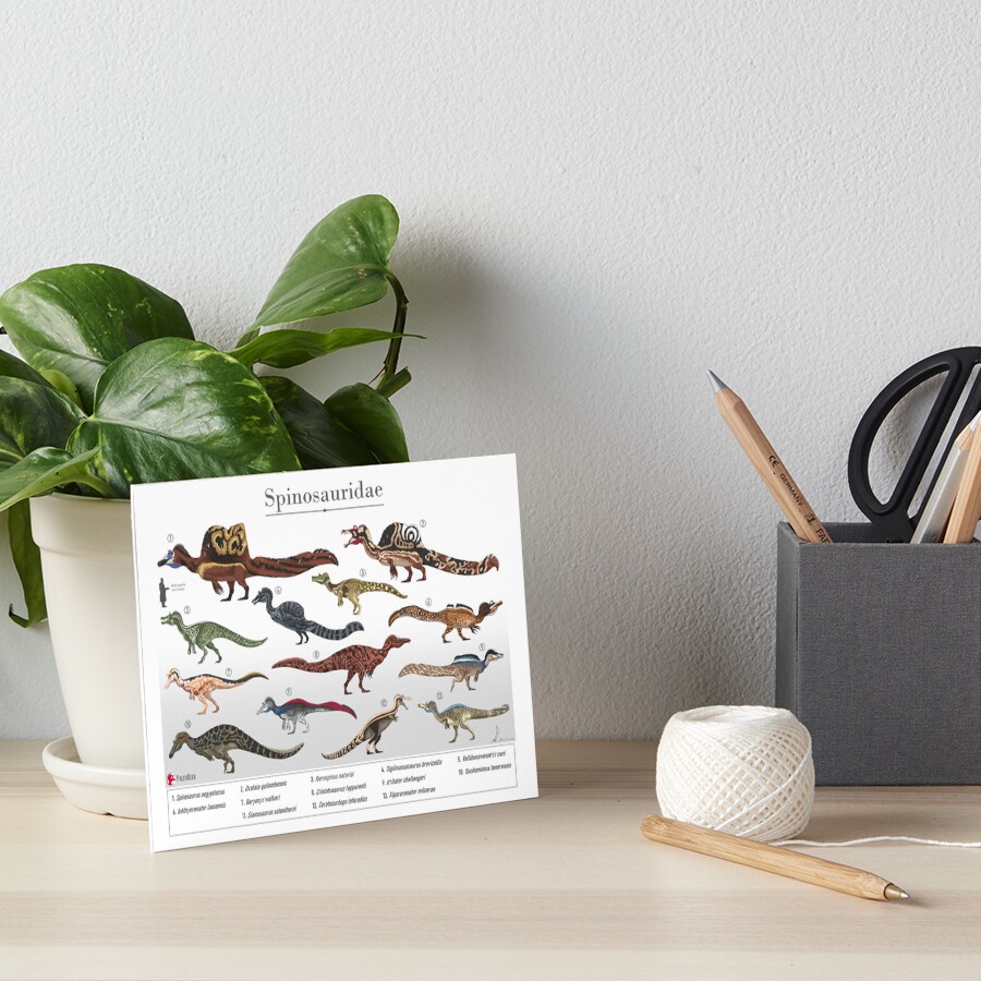 "Spinosauridae Family Size Chart" Art Board Print by PaleoGeek | Redbubble