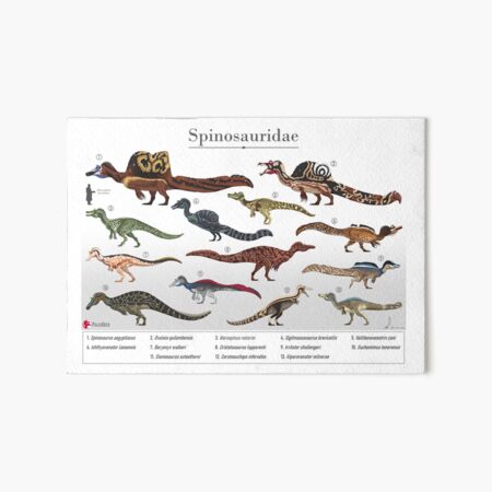 "Spinosauridae Family Size Chart" Art Board Print by PaleoGeek | Redbubble