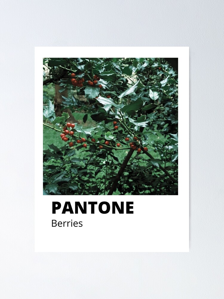 "Vintage Pantone winter plants and red berries " Poster for Sale by ...