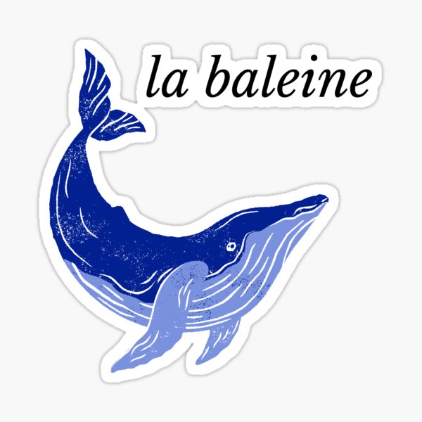 "La Baleine en français (Whale in French)" Sticker by RocketN00b ...