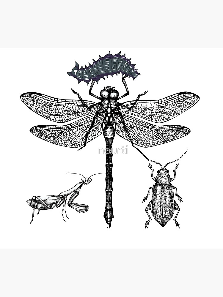 Póster «Camiseta de insectos de entomología, camiseta de insectos ...