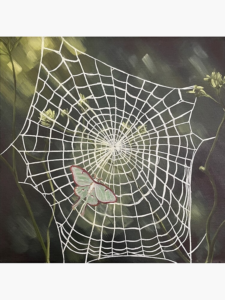"Caught in a Web" Poster for Sale by pastxli | Redbubble