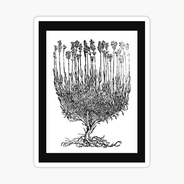 "Final Print Upward Mobility" Sticker by RootedStickers | Redbubble