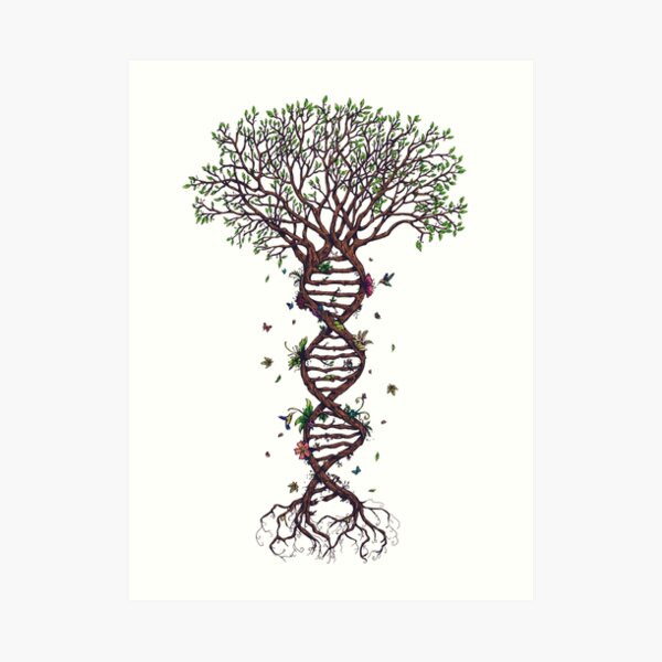 "DNA TREE OF LIFE" Art Print for Sale by CarlosC1976 | Redbubble