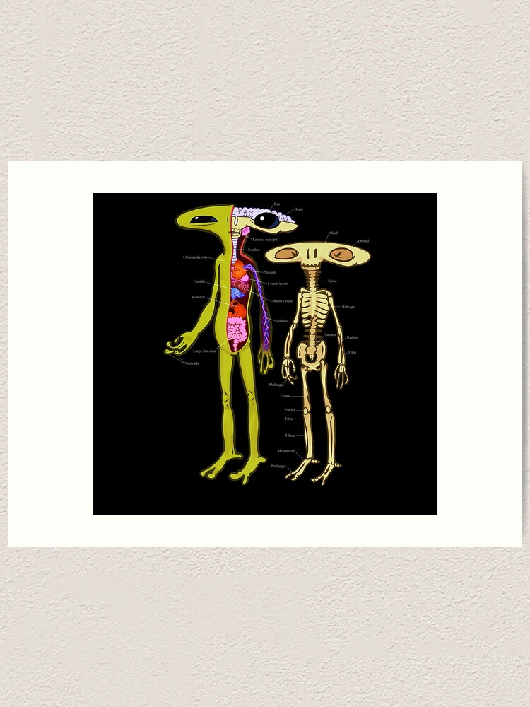 "UFO Alien Anatomy - Labeled Cutaway T-shirt" Art Print for Sale by ...