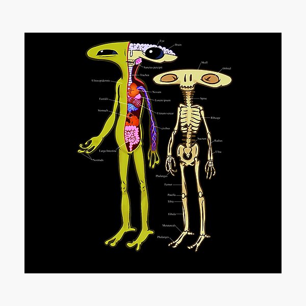 "UFO Alien Anatomy - Labeled Cutaway T-shirt" Photographic Print by ...