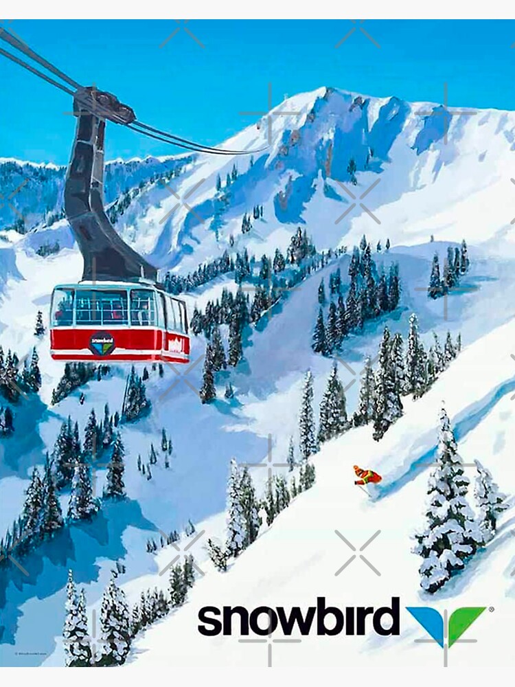 "snowbird ski resort" Sticker for Sale by AsKartongs | Redbubble