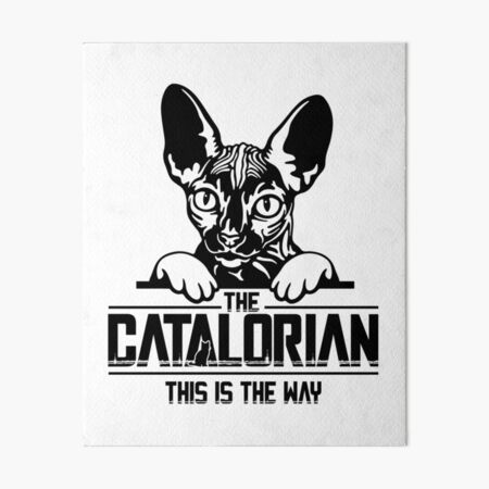 Lámina rígida «The Catalorian Esta es la forma en que el gato Sphynx en ...