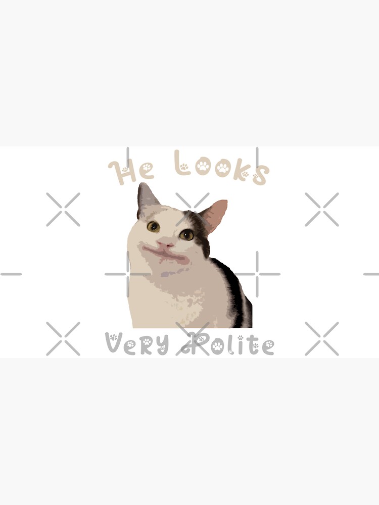 "He Looks Very Polite, Polite Kitty Cat Paws, Ollie The Polite Cat Meme ...