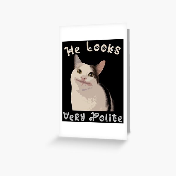 "He Looks Very Polite, Polite Kitty Cat Paws, Ollie The Polite Cat Meme ...