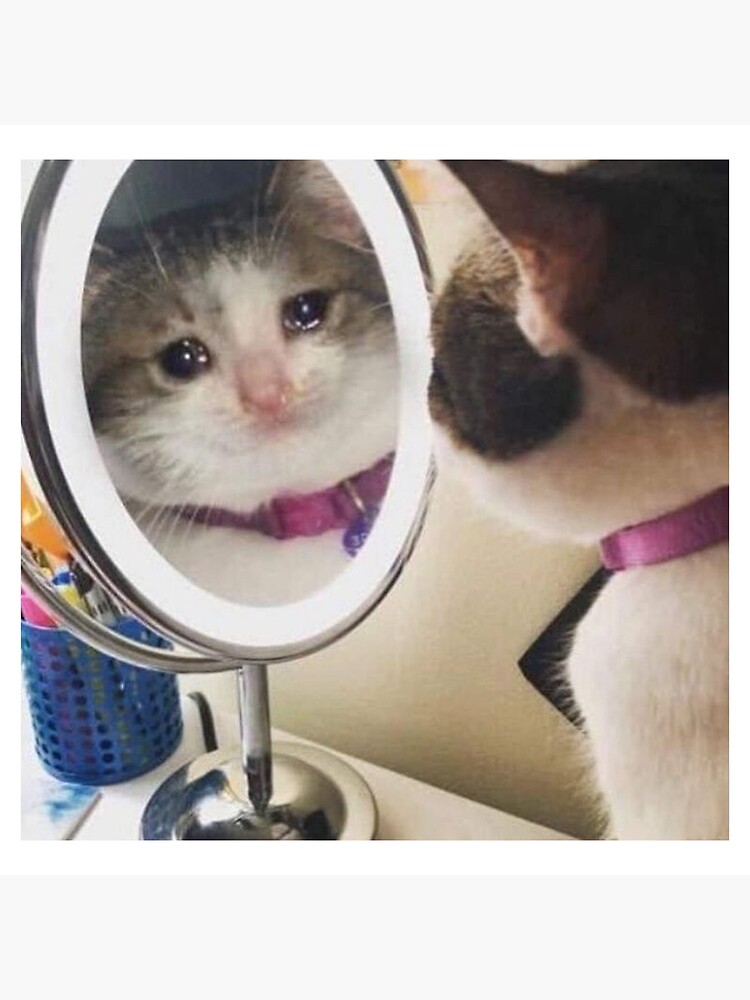 Teary Eyed Memes