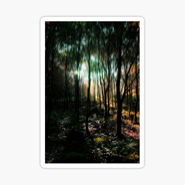 "Trees in an Enchanted Forest" Sticker for Sale by Wrayzo | Redbubble