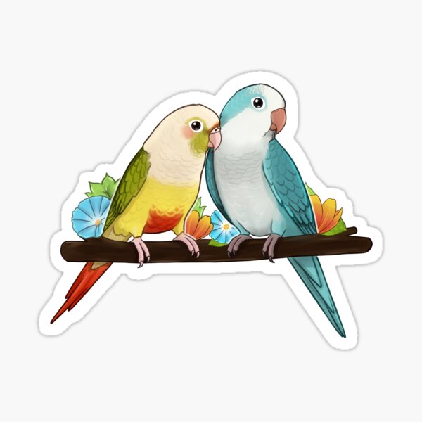 "Cute Quaker and Conure" Sticker by meruesan | Redbubble