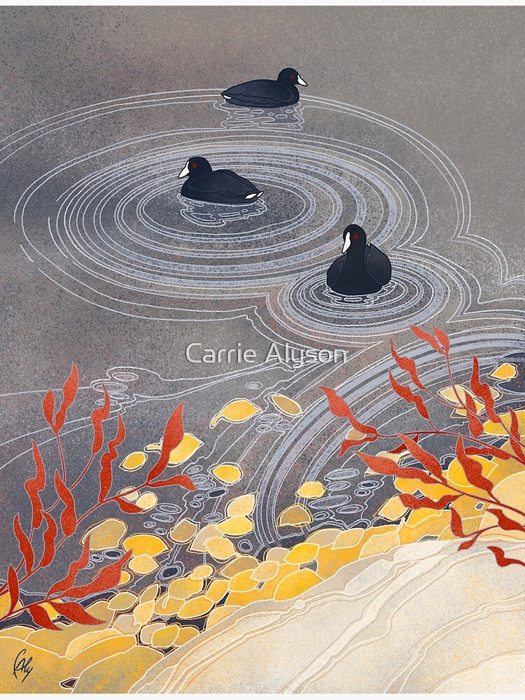 "Coots at Wapato Park" Poster for Sale by kirimoth | Redbubble