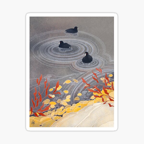 "Coots at Wapato Park" Sticker for Sale by kirimoth | Redbubble