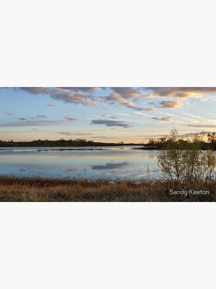 "Blue Grass FWA" Poster for Sale by SandyK | Redbubble
