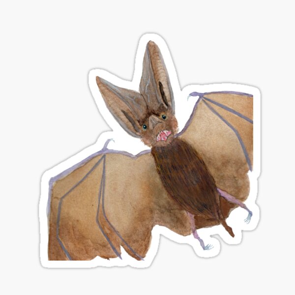 "Vampire Bat" Sticker for Sale by WhisperingRaven | Redbubble