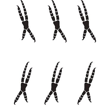 "6 parrot feet footprint - Sticker Bundle Pack" Sticker for Sale by ...