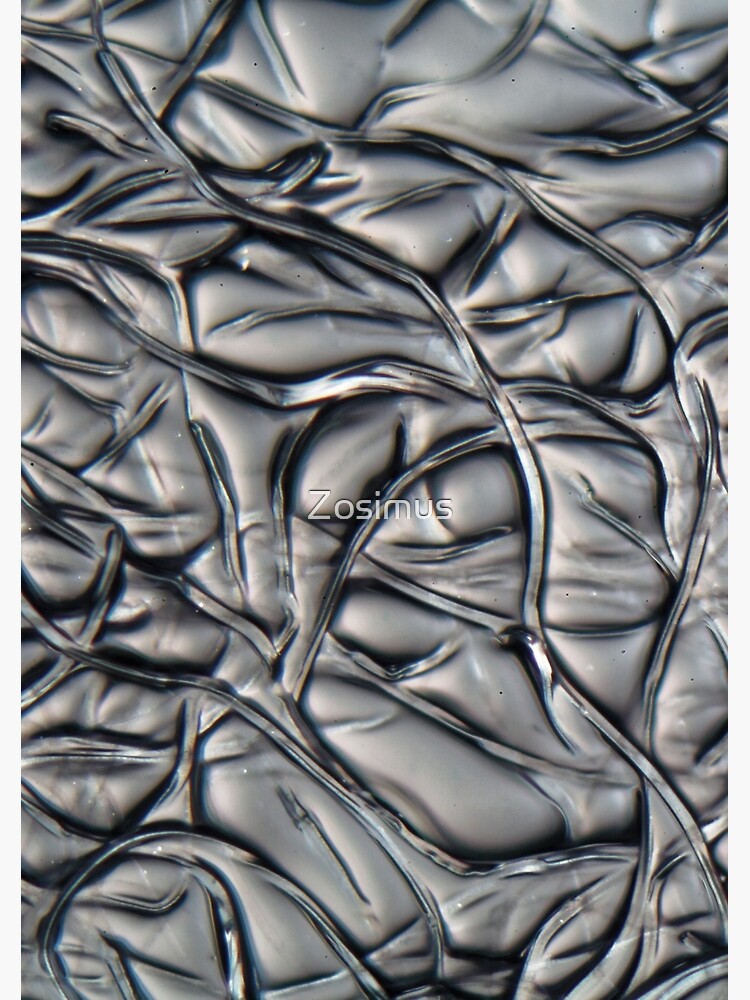 "Fibers of Cellulose acetate under the microscope." Spiral Notebook by ...