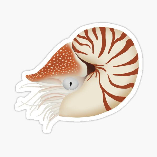 "Nautilus" Sticker by WestCoastWoods | Redbubble