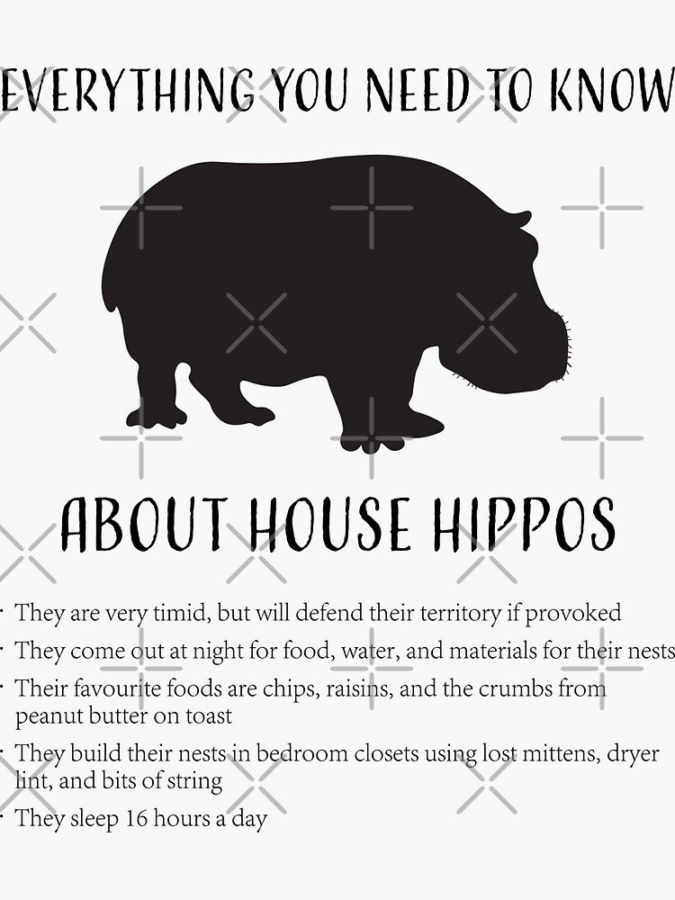 "Everything you need to know about house hippos - Funny" Sticker by ...