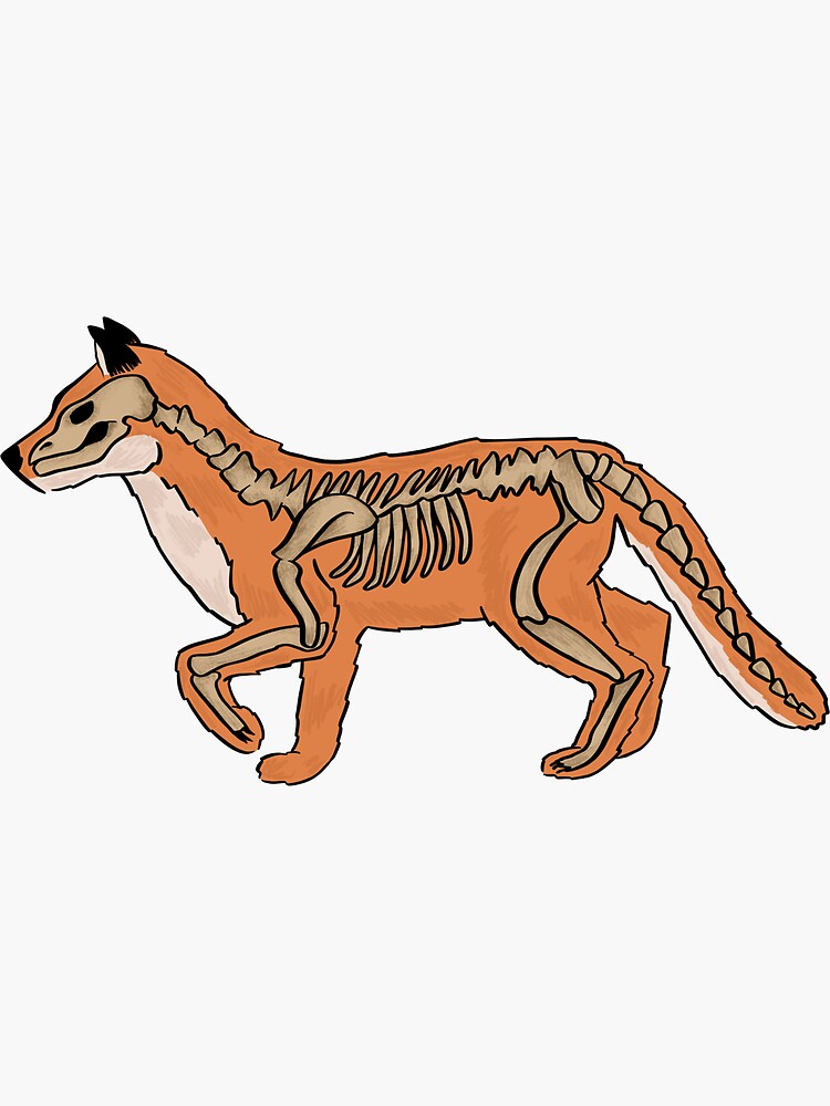 "Fox Bones" Sticker for Sale by allyhansen99 | Redbubble
