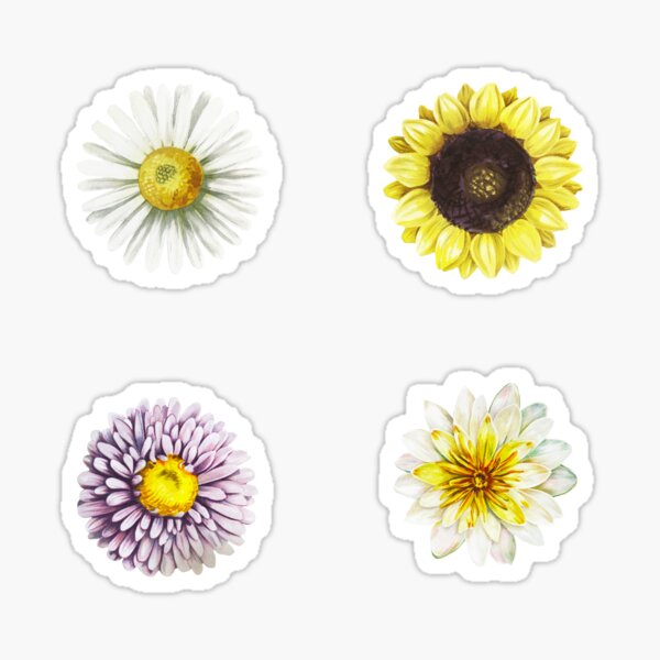 "Assorted Blooming Flowers Sticker Pack" Sticker by Scubedesign | Redbubble