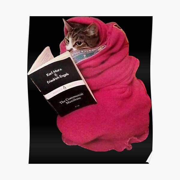 "Communist Cat " Poster for Sale by putneyrrmangasa | Redbubble