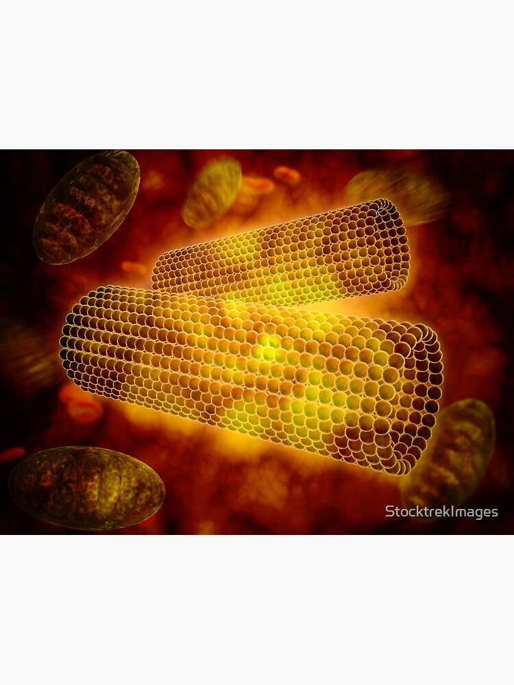 Microscopic View Of Centrioles Within A Human Cell Art Print For Sale By Stocktrekimages