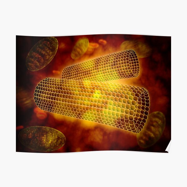 Microscopic View Of Centrioles Within A Human Cell Poster For Sale By Stocktrekimages Redbubble
