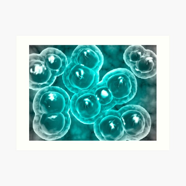 "Microscopic view of chlamydia." Art Print by StocktrekImages | Redbubble