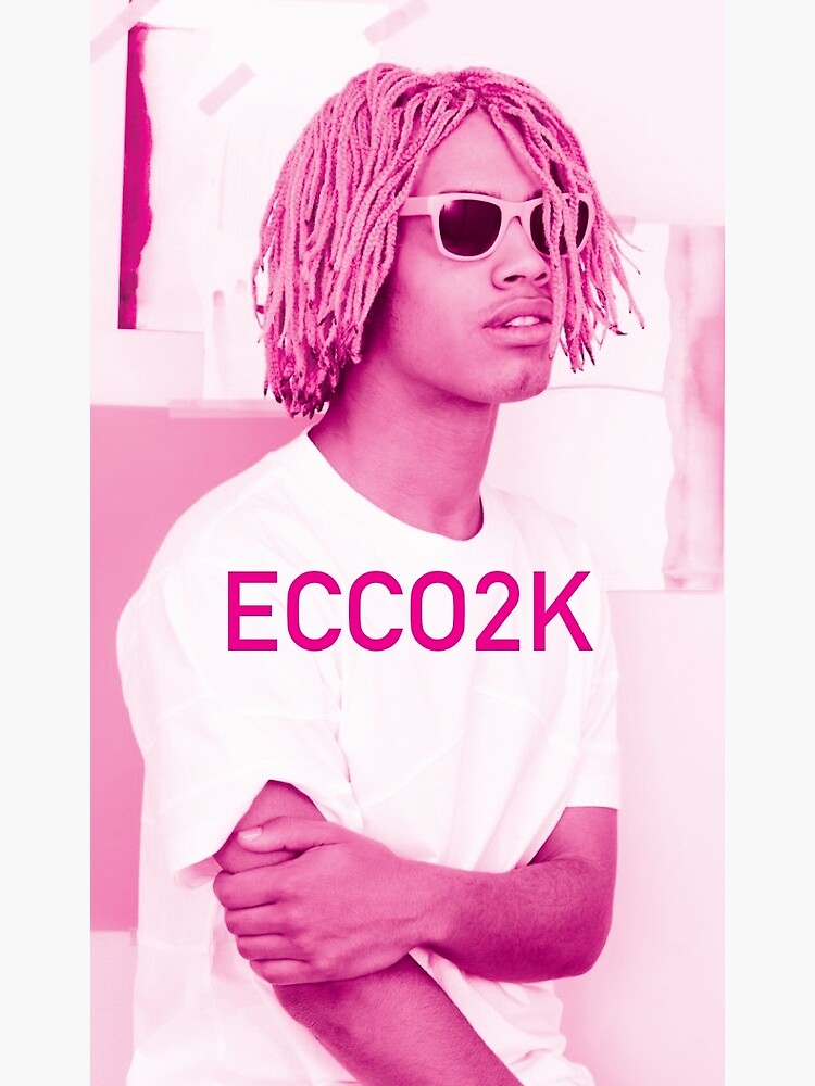 "ECCO2K" Canvas Print by lwnsm | Redbubble