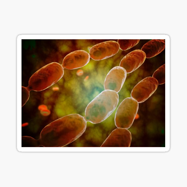 "Microscopic view of bacterial pneumonia." Sticker by StocktrekImages ...