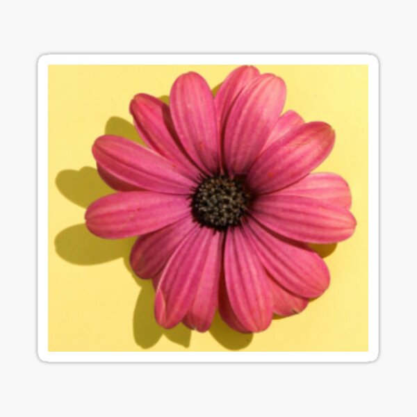 "Flower" Sticker by RoseMoon253 | Redbubble