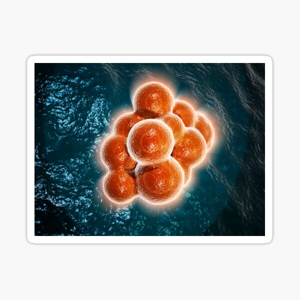 "Microscopic view of a stem cell." Sticker for Sale by StocktrekImages ...