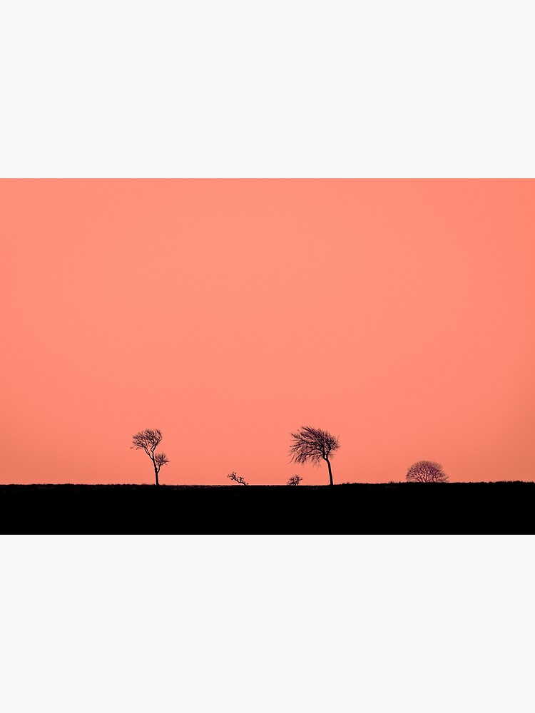 "Trees in the wind sticker." Poster for Sale by pestone53 | Redbubble