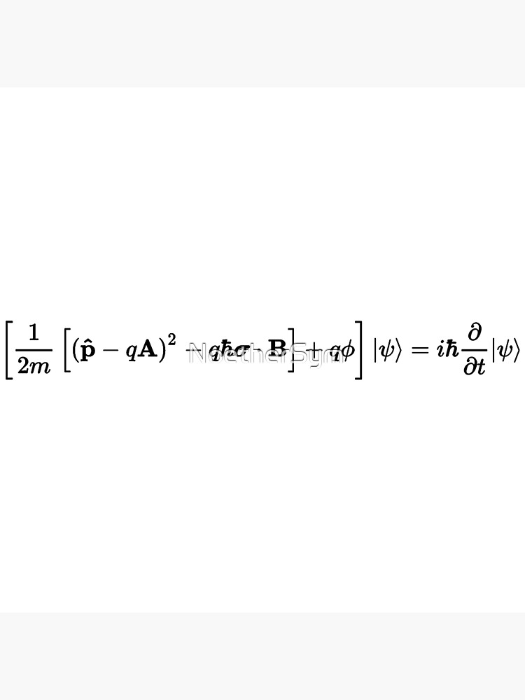 "pauli equation for spin half particles in a magnetic field" Poster by ...