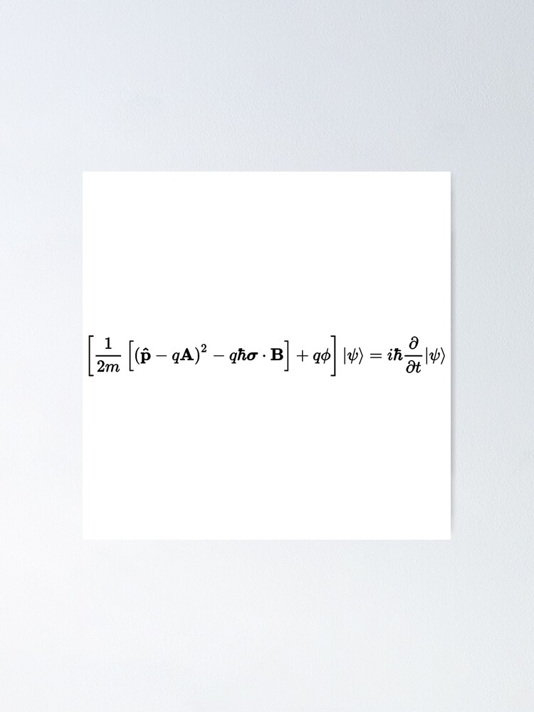 "pauli equation for spin half particles in a magnetic field" Poster by ...