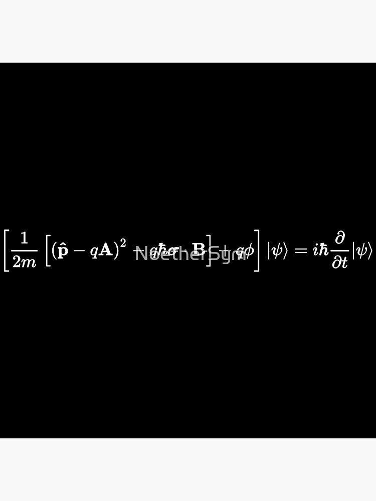 "Pauli equation for spin half particles in a magnetic field dark ...