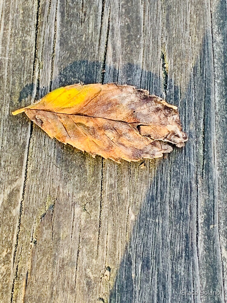 "Fall in Provincetown" Sticker by GracielaMaria | Redbubble