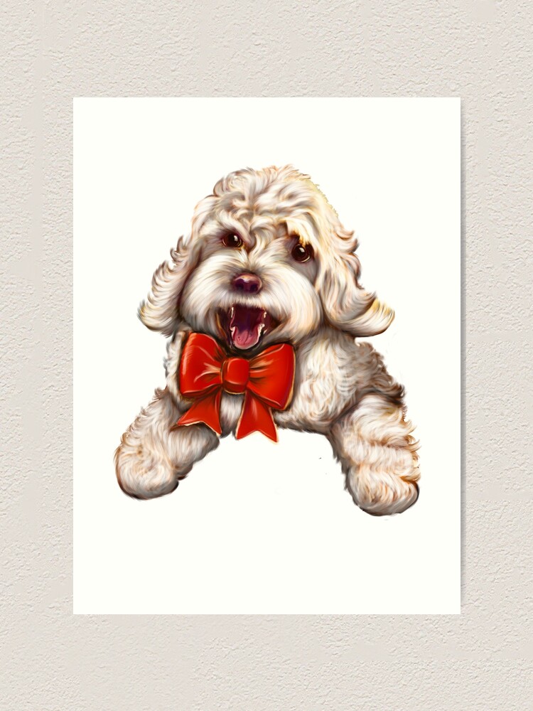 "Cute white Cavapoo Cavoodle puppy dog with red bow - cavalier king charles spaniel poodle ...